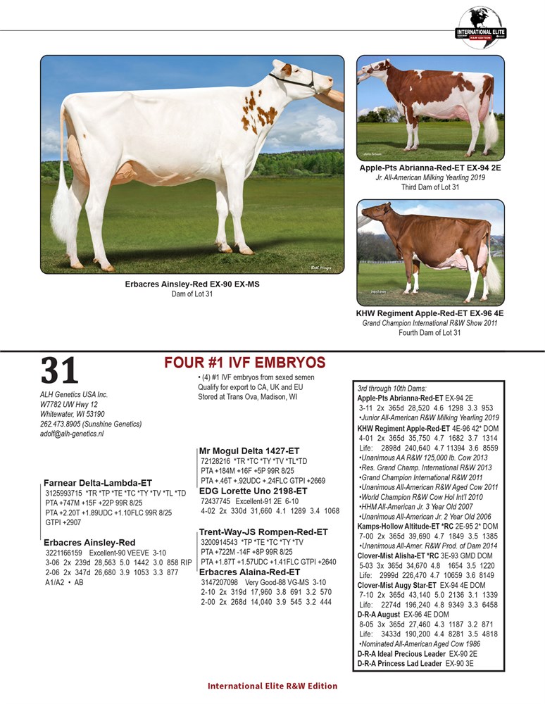 Country Club Sales - 4 Delta-Lambda Embryos x Erbacres Ainsley-Red